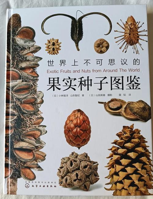 冰果种子怎么获得图标