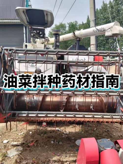 油菜拌种截图