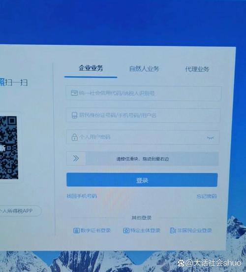 上海税务网上办税平台截图