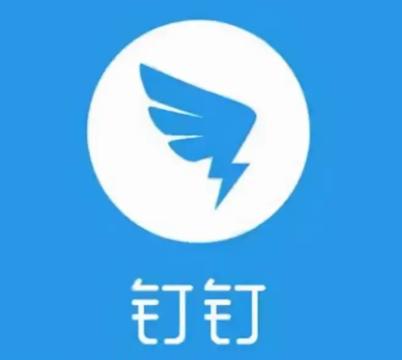 一个人可以有两个钉钉帐号吗图标