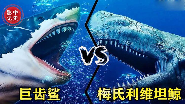 利维坦鲸vs沧龙图标