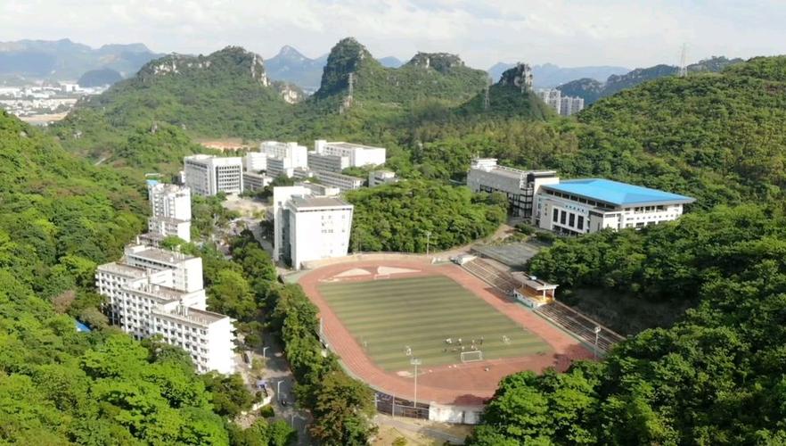 柳职最厉害的三个专业图标