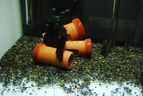 射箭馆图标
