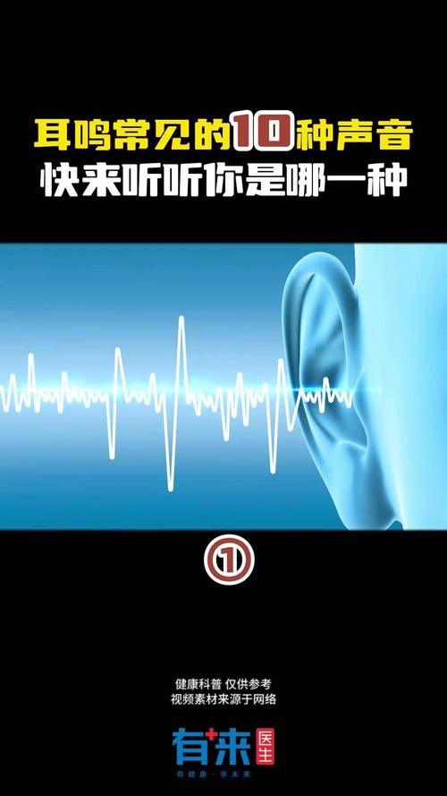 我声音大是因为声音大截图
