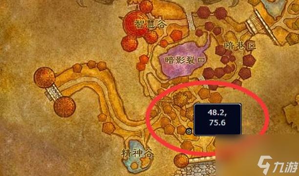 暴风城声望战袍在哪买图标