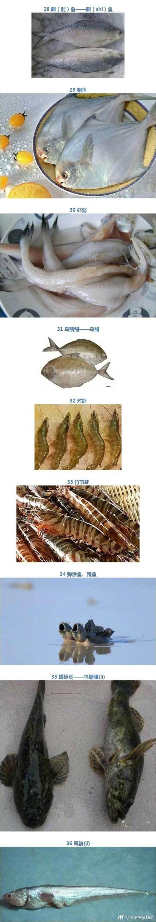 海鲜一览表500种图标