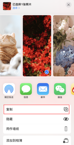 苹果手机相片编辑不留原图截图