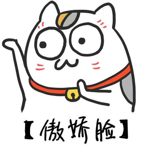 一脸傲娇的表情包图片