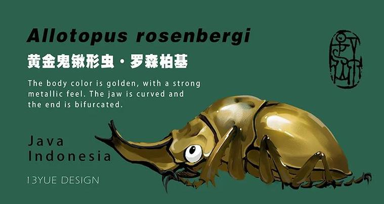甲虫的神奇之处图标