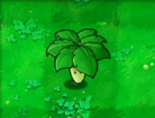 植物大战僵尸莴苣介绍缩略图