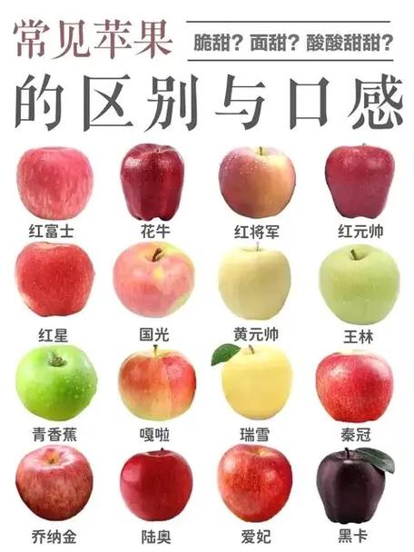 苹果分几种品种图标