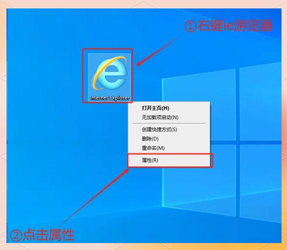 ie浏览器无法缩放大小图标