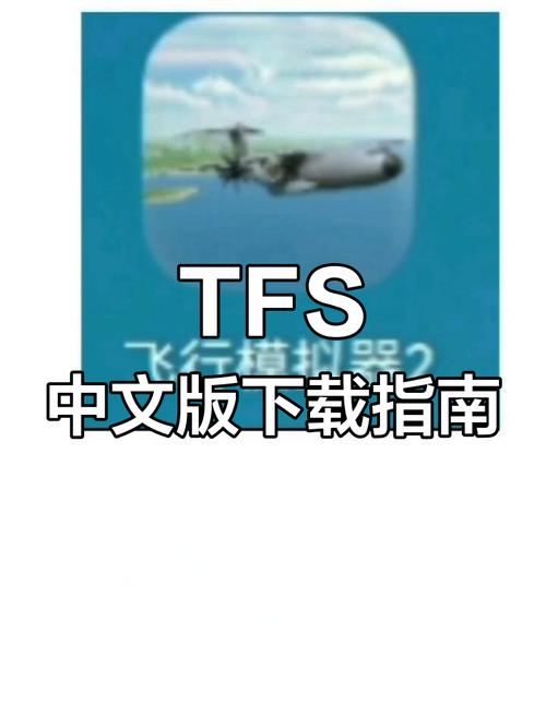 Tfs下载最新版带修改器截图