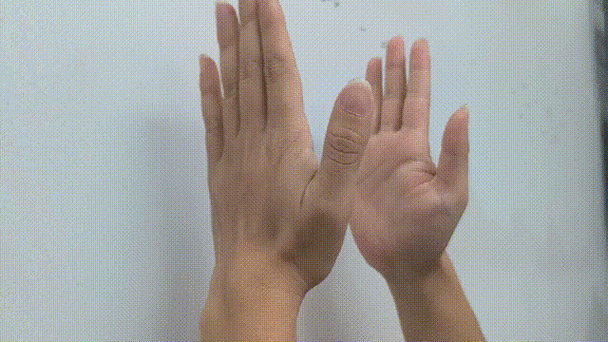 手心有你动态简谱缩略图