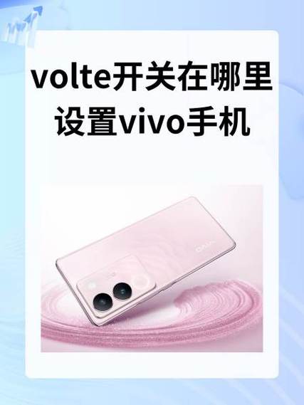 vivo手机volte在哪里