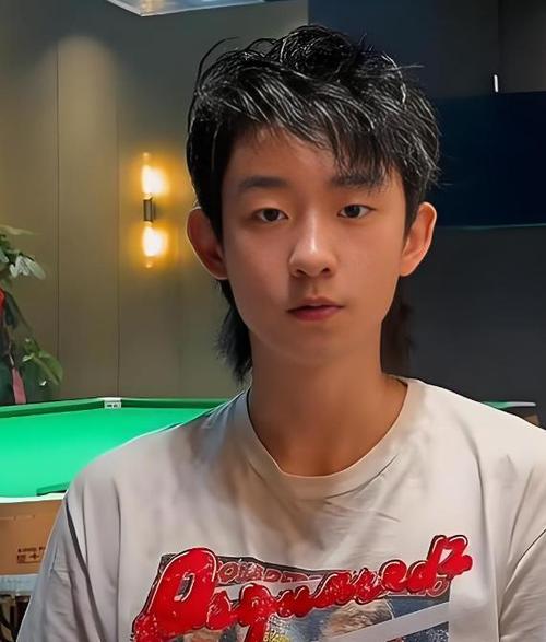 吴宜泽父亲个人简介图标