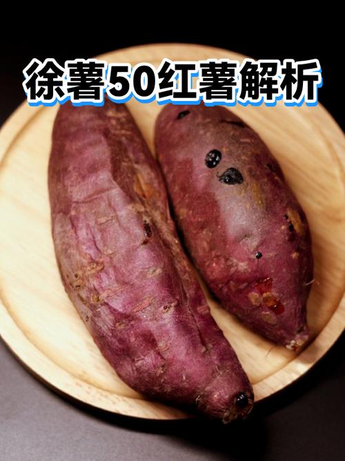 徐薯50红薯品种介绍图标