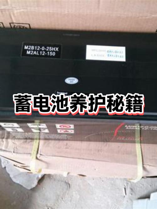 电瓶饿死充不进电一招图标