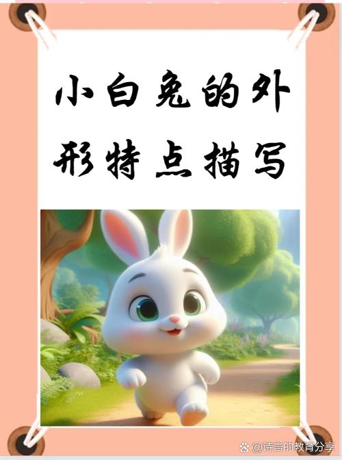 写小白兔的特点