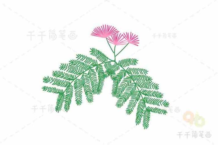 合欢叶怎么用截图