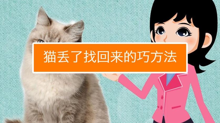 猫丢了能报警找吗截图