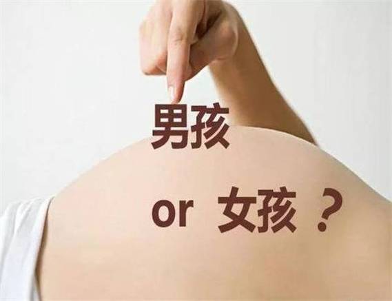 萌宝是男孩还是女孩图标