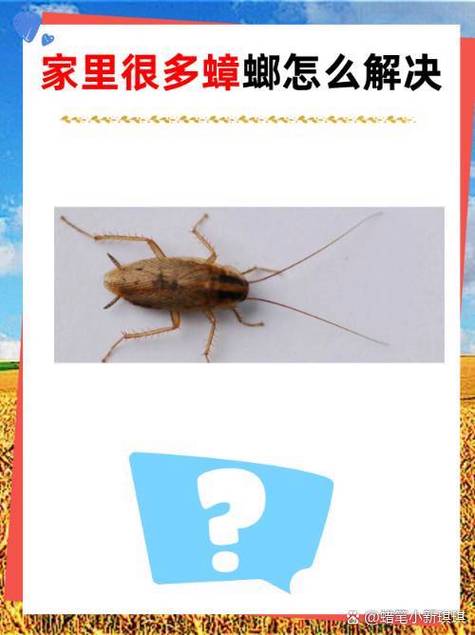 消灭臭蛋儿截图