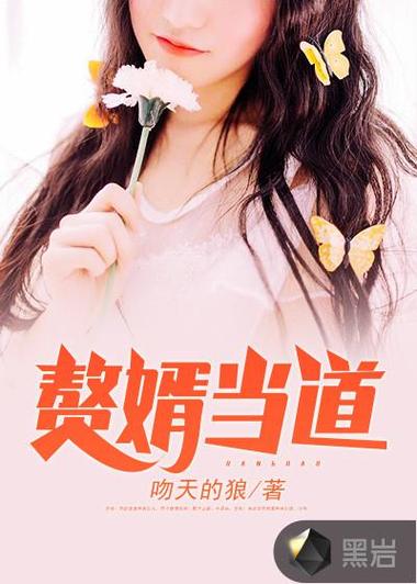 入赘为婿岳风笔趣阁图标