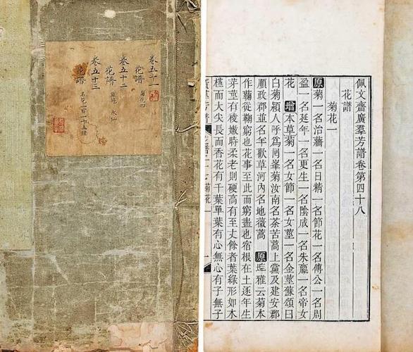 极品群芳谱 小说图标