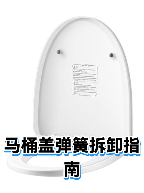 马桶盖换弹簧教程截图