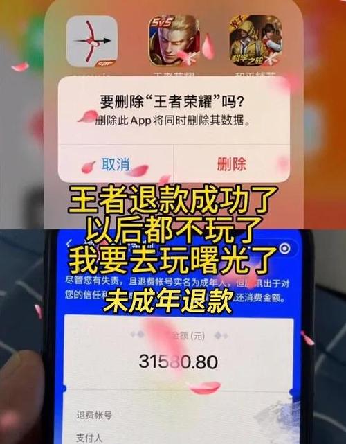 王者荣耀买错了道具退吗截图