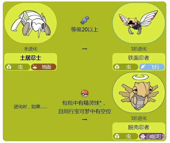 土居忍士进化图标