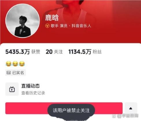 小红书发现分类没了