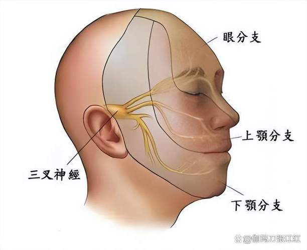 伽马刀一般要做几次图标