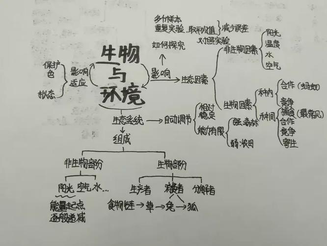 七年级上册生物思维导图