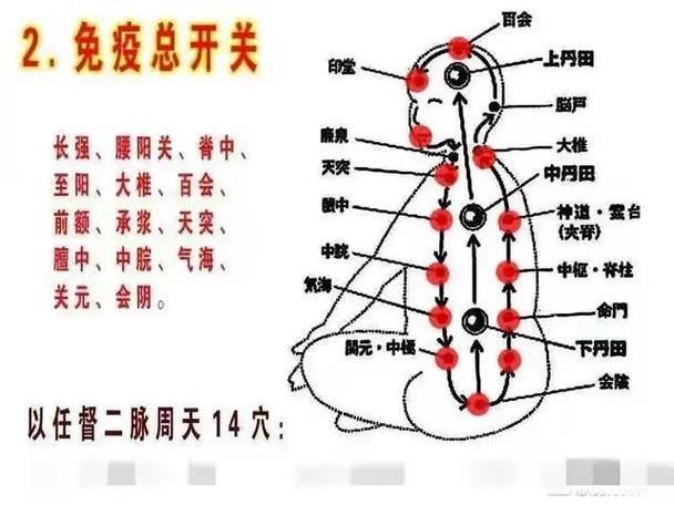 人体二十四开关位置