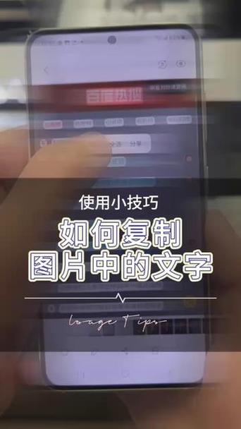 怎么把照片中的文字提取出来图标