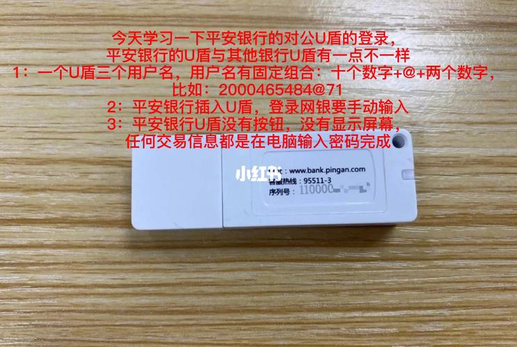 平安银行u盾办理需要什么条件图标