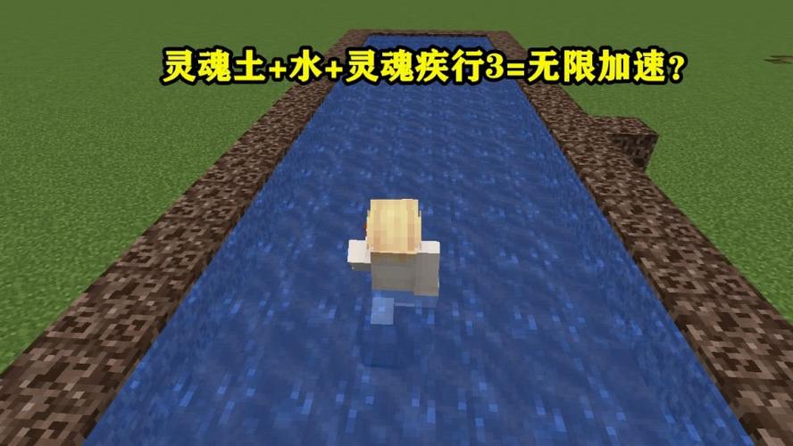 我的世界村民灵魂疾行