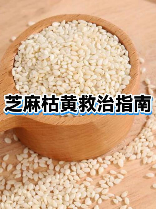 仓鼠全身抽搐四肢无力图标