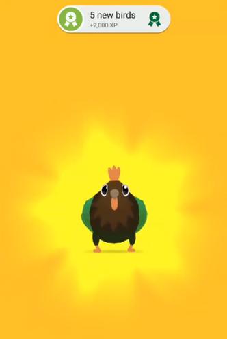 pigeon下载截图