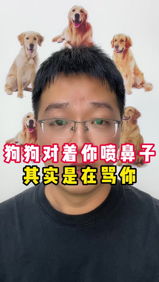 狗对人打喷嚏是骂人吗图标