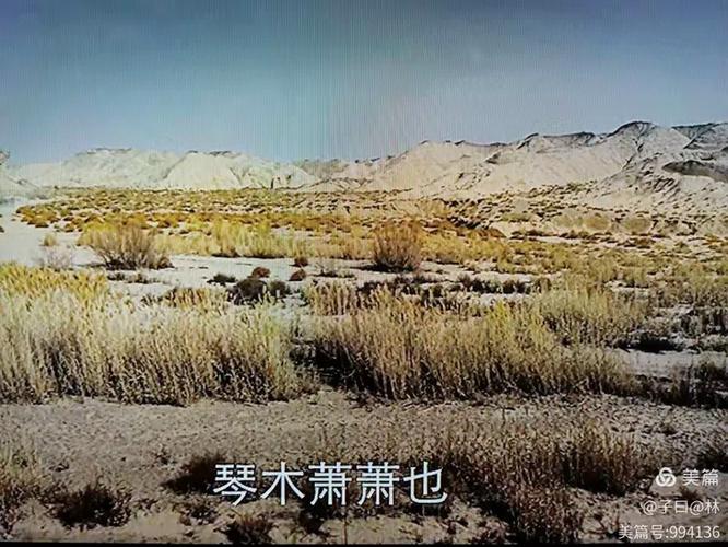 如何让小米摄像头一直录像图标