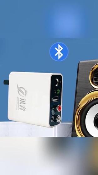蓝牙接收器与功放连接图标