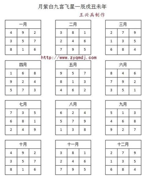 紫白飞星排盘手机版图标