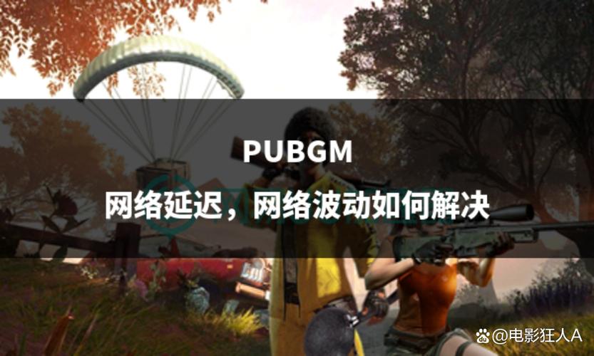 绝地求生网络延迟高截图