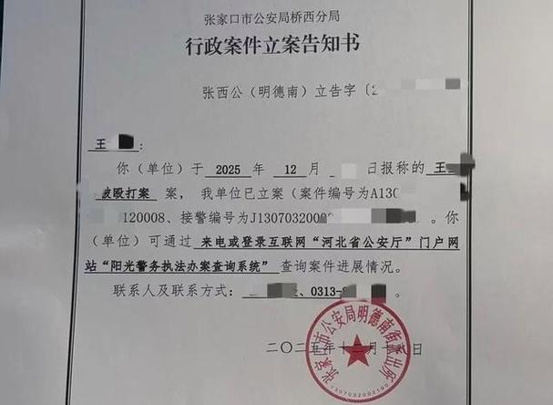 2000立案还是3000立案图标