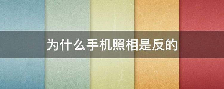 为什么手机自拍是反方向图标