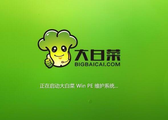 大白菜winpe下载图标