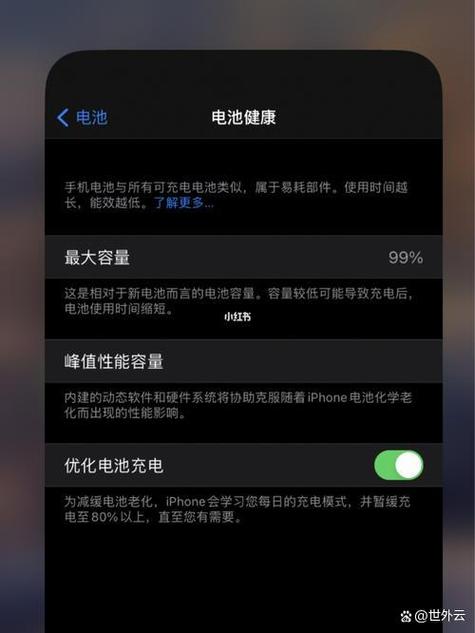 苹果怎么测电池容量截图